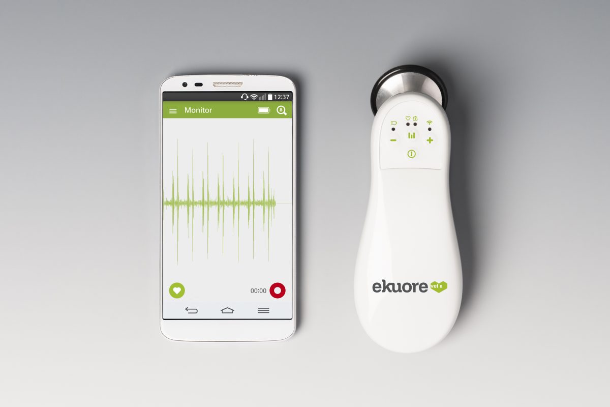 Electronic Veterinary Stethoscope from Ekuore - Vyom Veterinary ...
