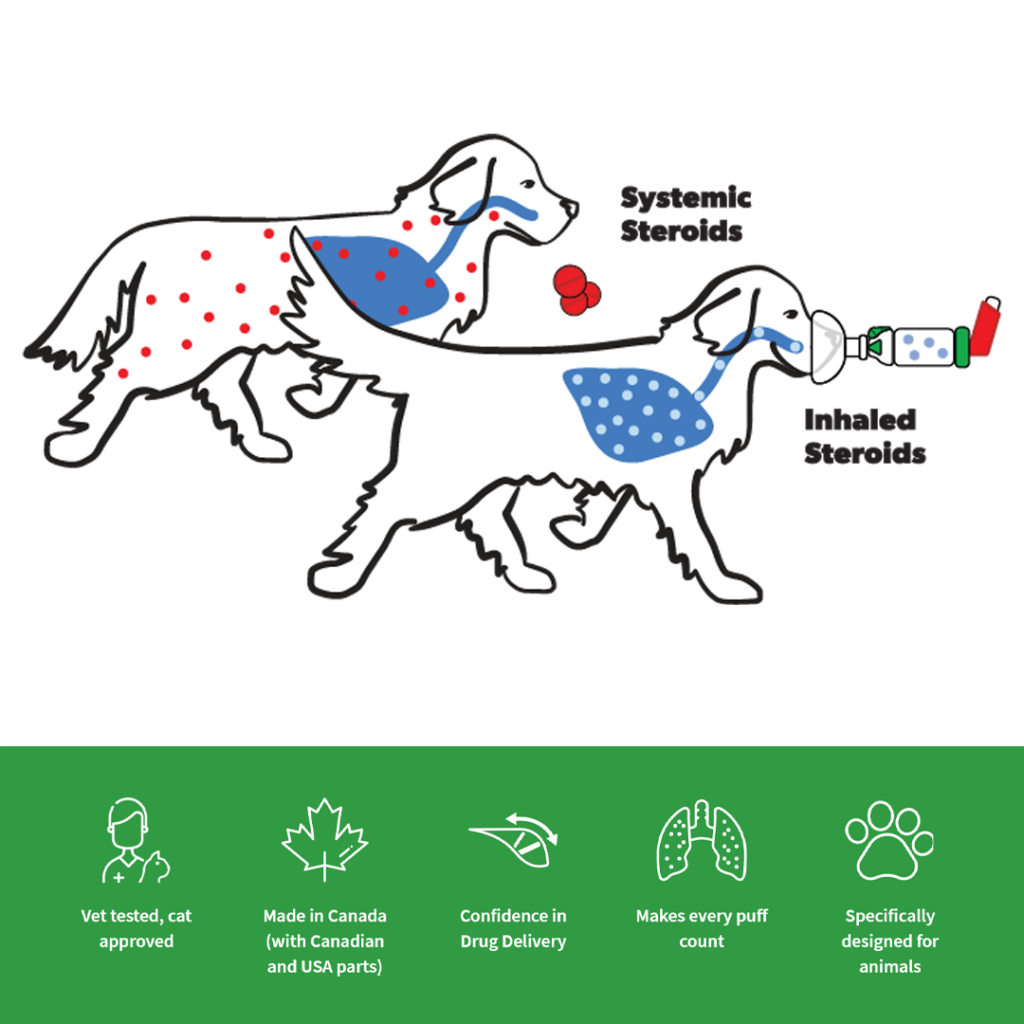 AeroDawg - Metered Dose Inhaler Chamber for Dogs (Large) - Vyom ...