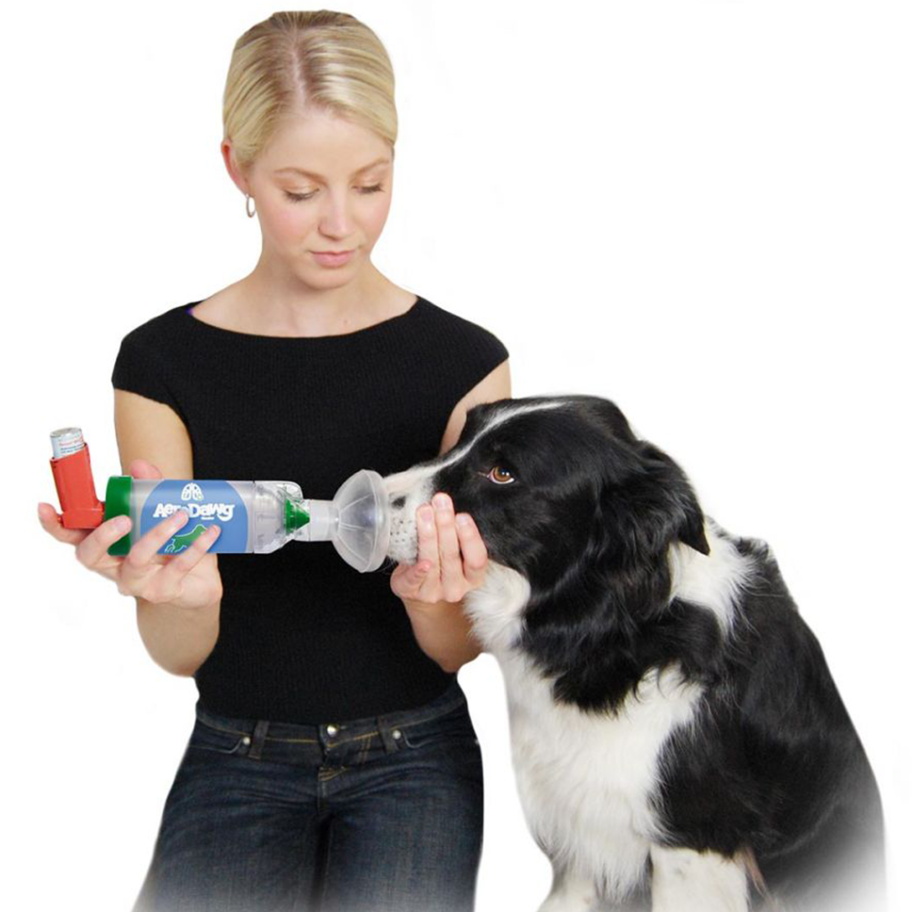 AeroDawg - Metered Dose Inhaler Chamber for Dogs (Large) - Vyom ...